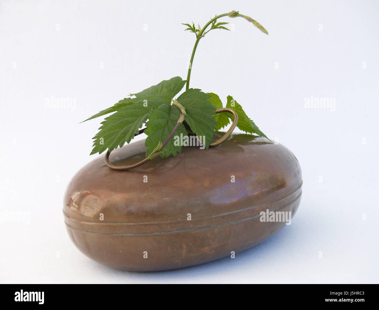 household vessel bottle cure copper means agent medicine drug remedy ...