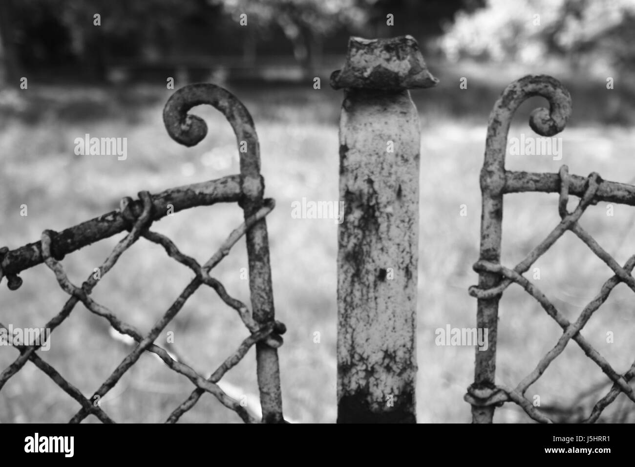 bw location shot fence metal border wire delimitation lacquer landscape ...