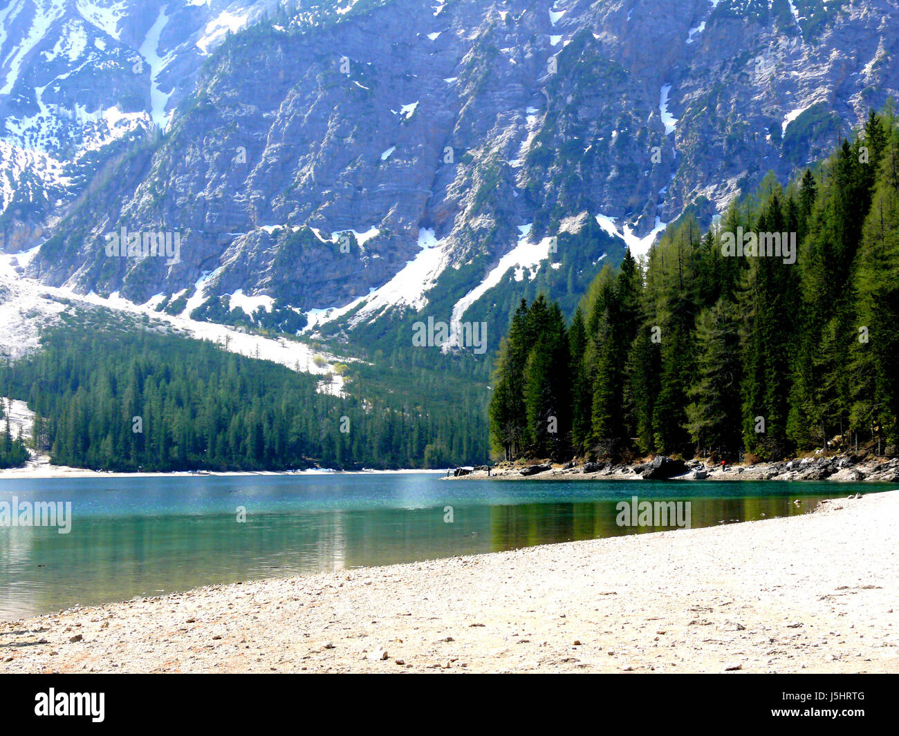 blue tree trees mountains south tyrol salt water sea ocean water ...