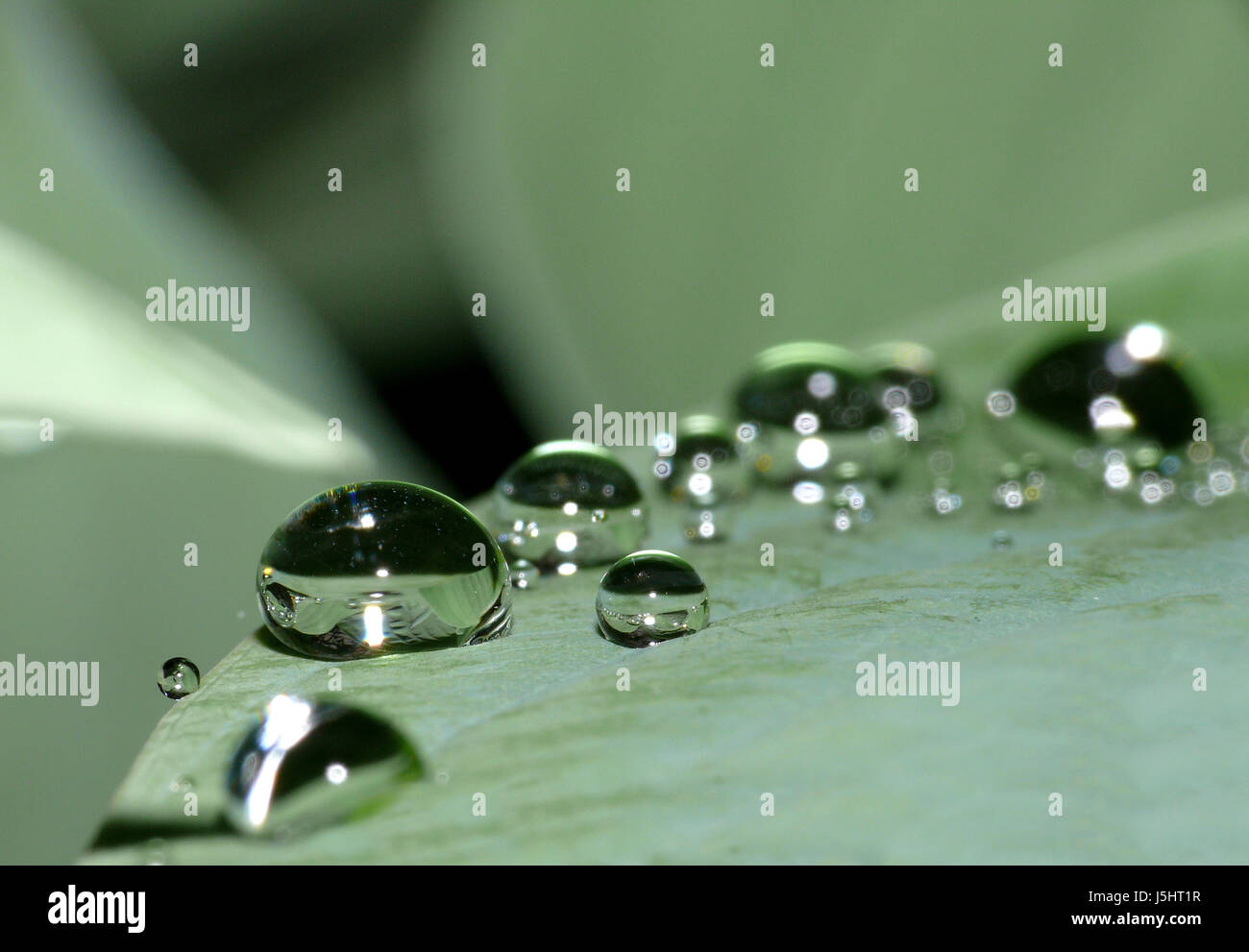 raindrop refreshment mirroring water drop drip drops seeping sopping ...