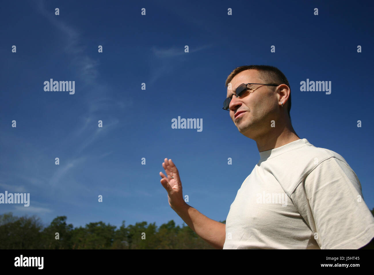 worms eye indicate show interpret hand tree trees landscape format ...