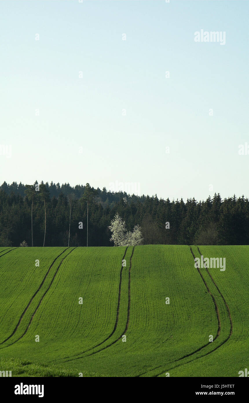 Treckerspur hi-res stock photography and images - Alamy