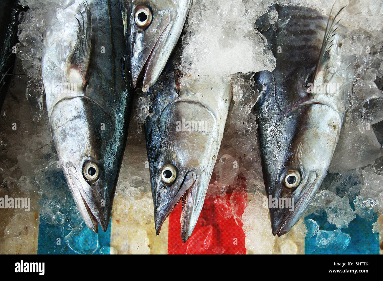 food aliment fish eye organ gastronomy kitchen cuisine boil cooks ...