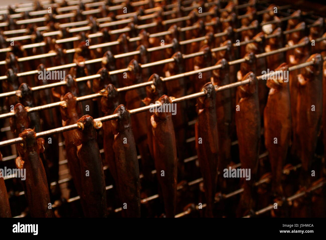 smoke smoking smokes fume maritime fish harbor trout harbours mackerel ...