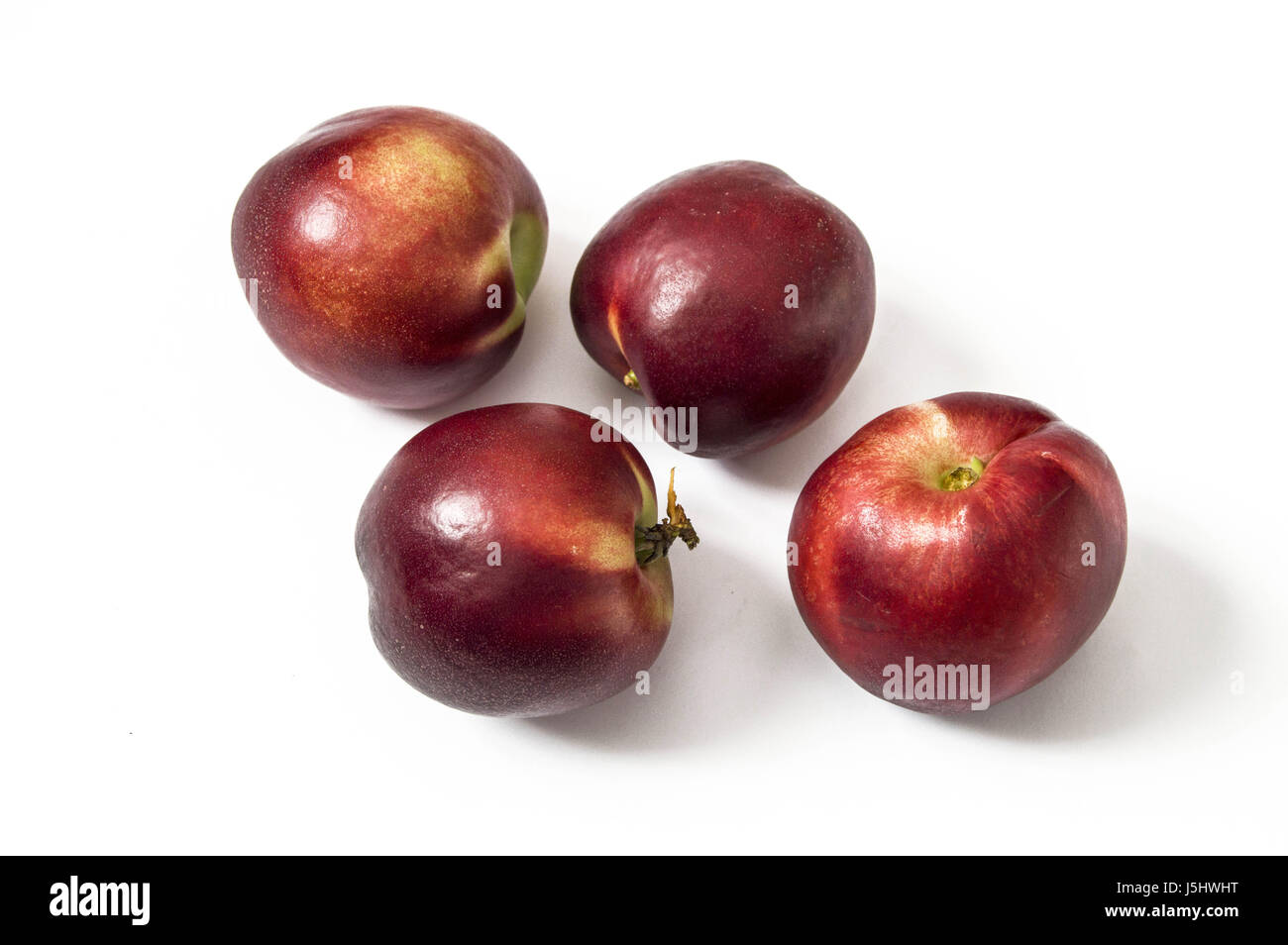 Nectarine fruit pictures with white background for project designs ...