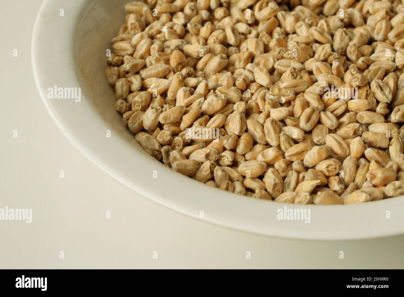 agriculture farming useful plant grain beer wheat raw material malt ...