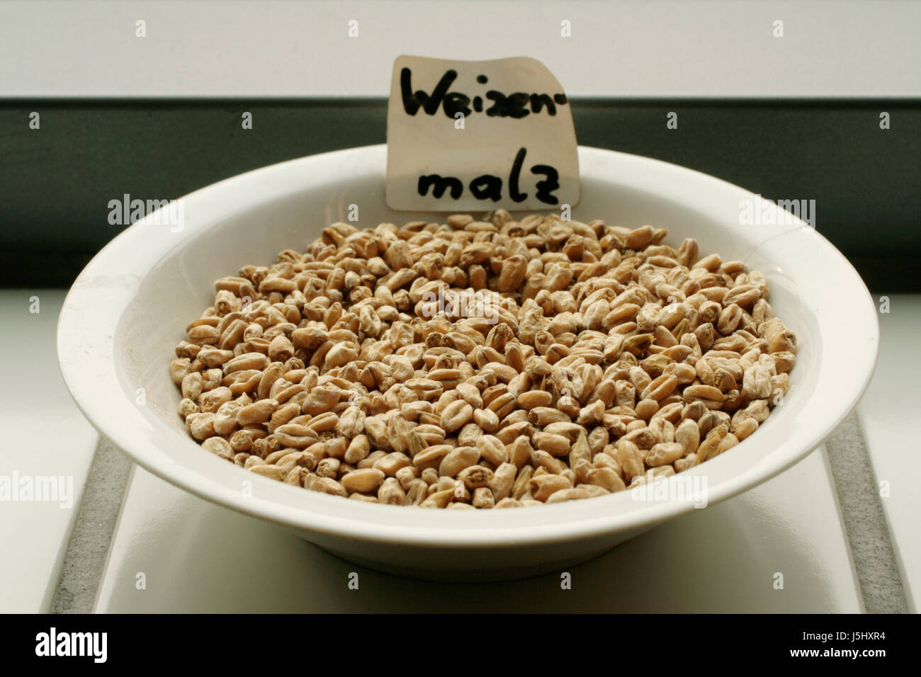 agriculture farming useful plant grain beer wheat raw material malt ...