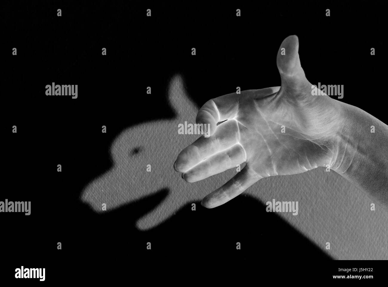 Quot590quot hi-res stock photography and images - Alamy