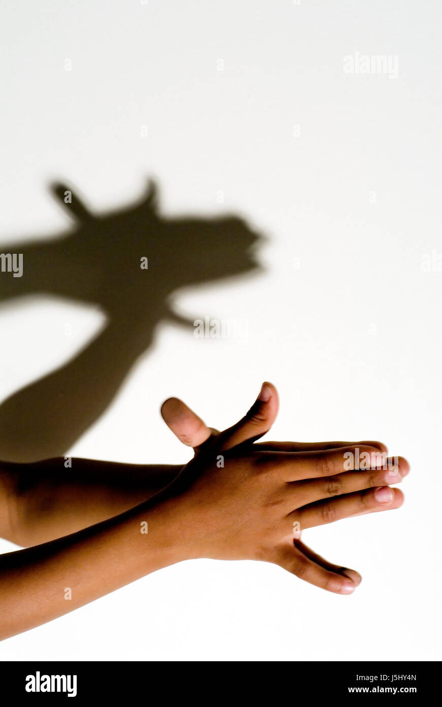 shadow figure cow Stock Photo - Alamy