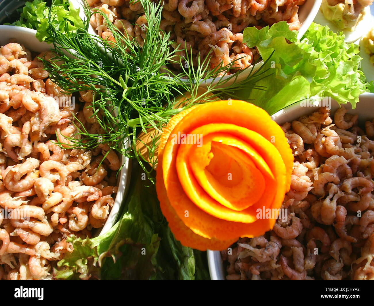 restaurant orange flower rose plant maritime fish gastronomy dainty ...