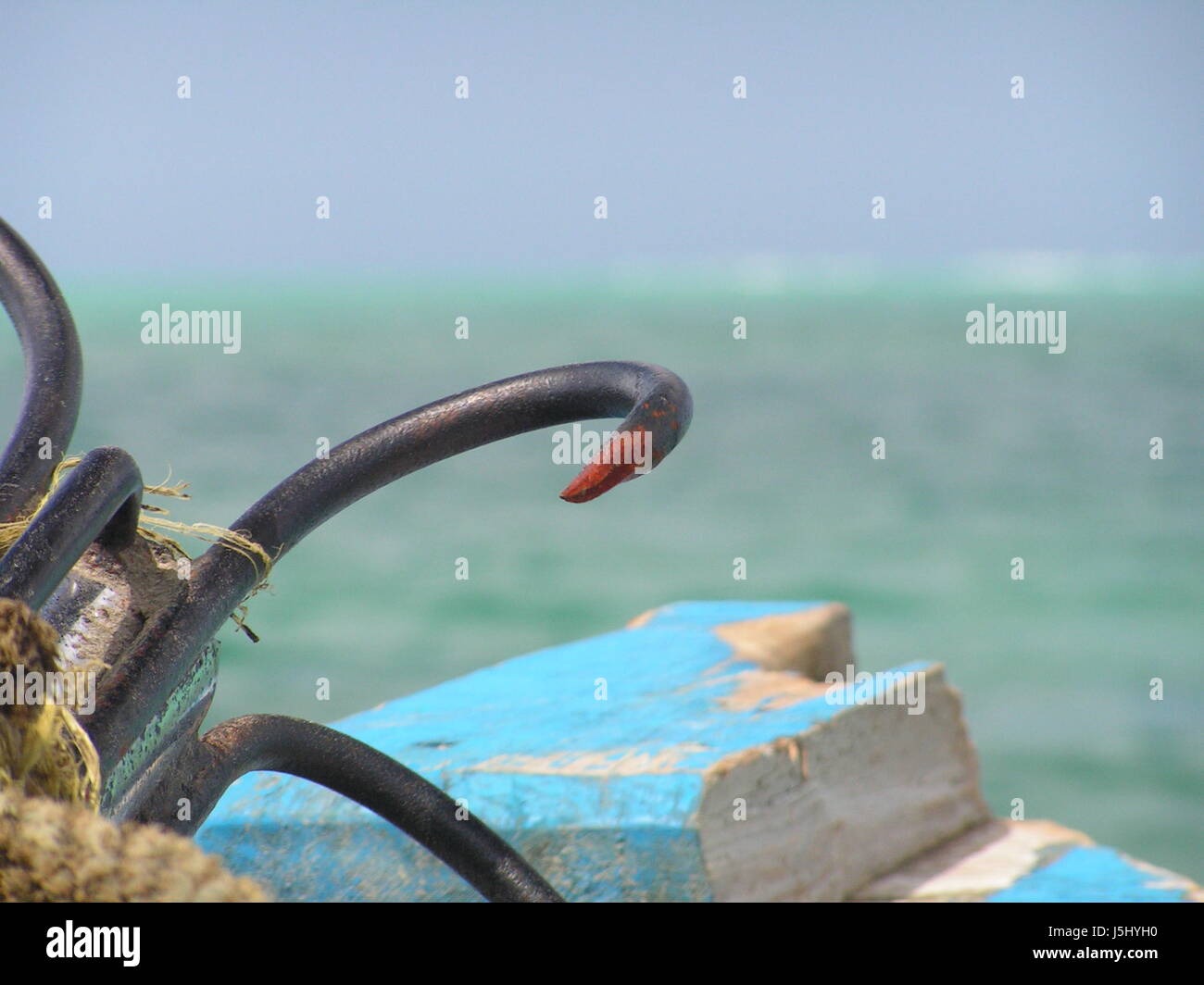 blue iron angle fish steel hook turquoise anchor caribbean salt water ...