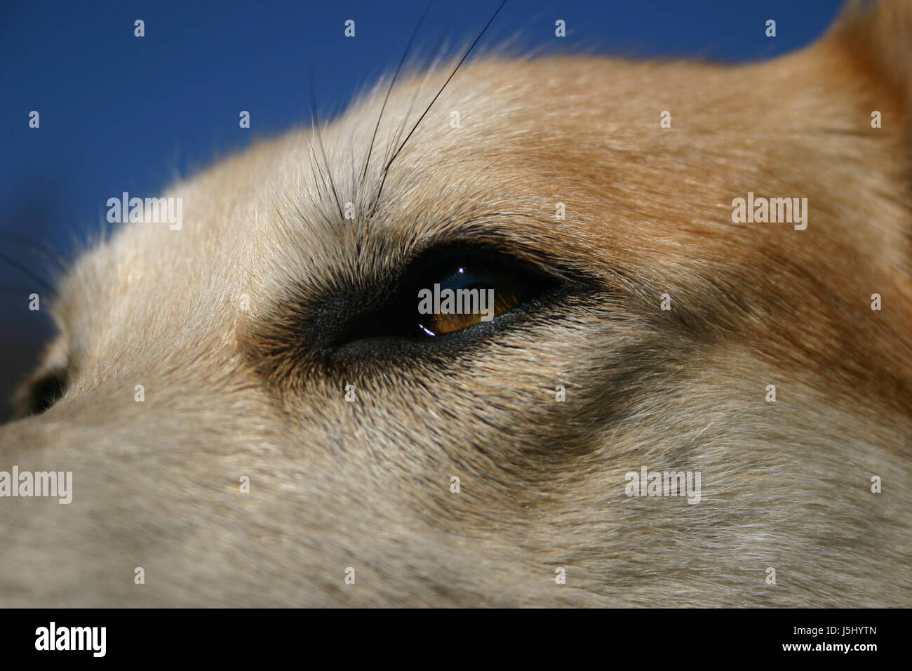the view into the distance i Stock Photo - Alamy