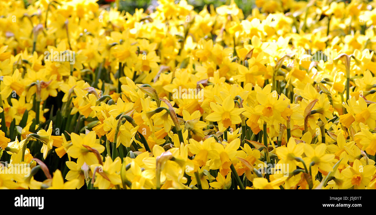 wait waiting shine shines bright lucent light serene luminous colour ...