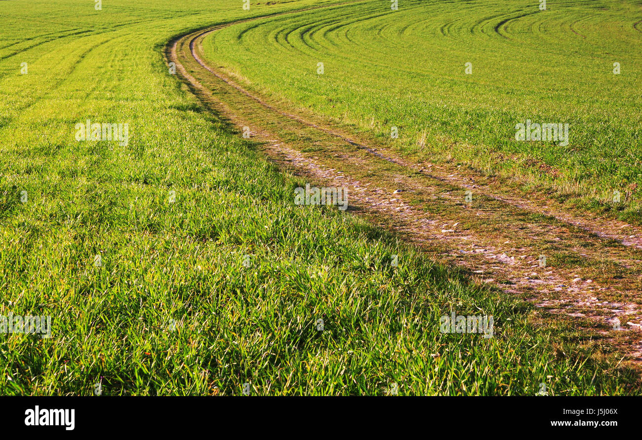 dirt road fields meadows bend path way complete perfect scenery ...