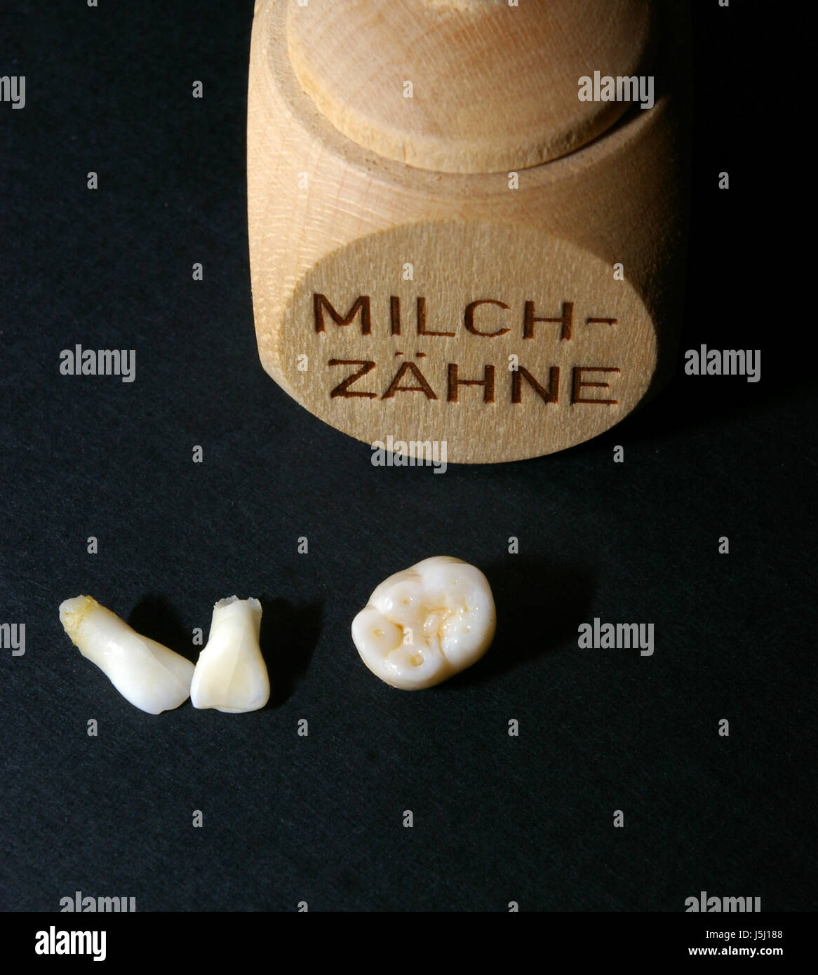 Zahnhals hi-res stock photography and images - Alamy