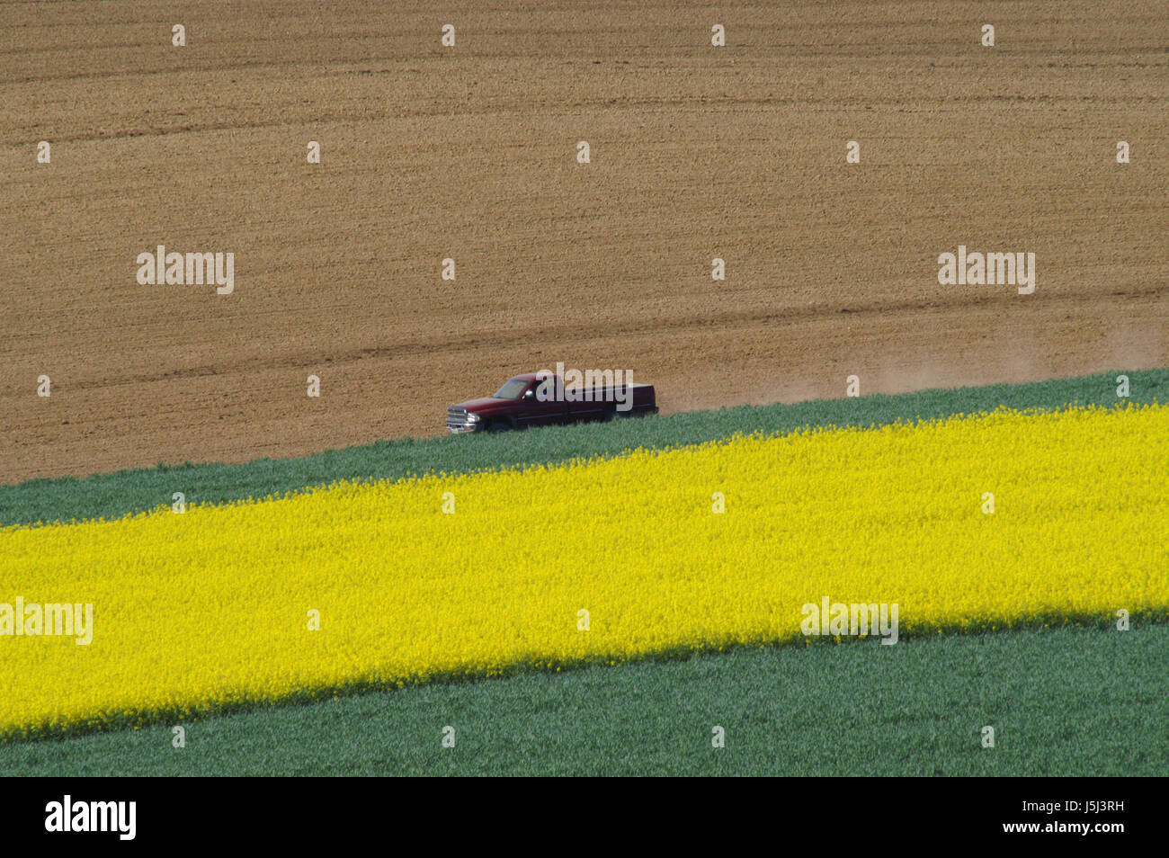 green brown brownish brunette dust coleseed agriculture farming car ...