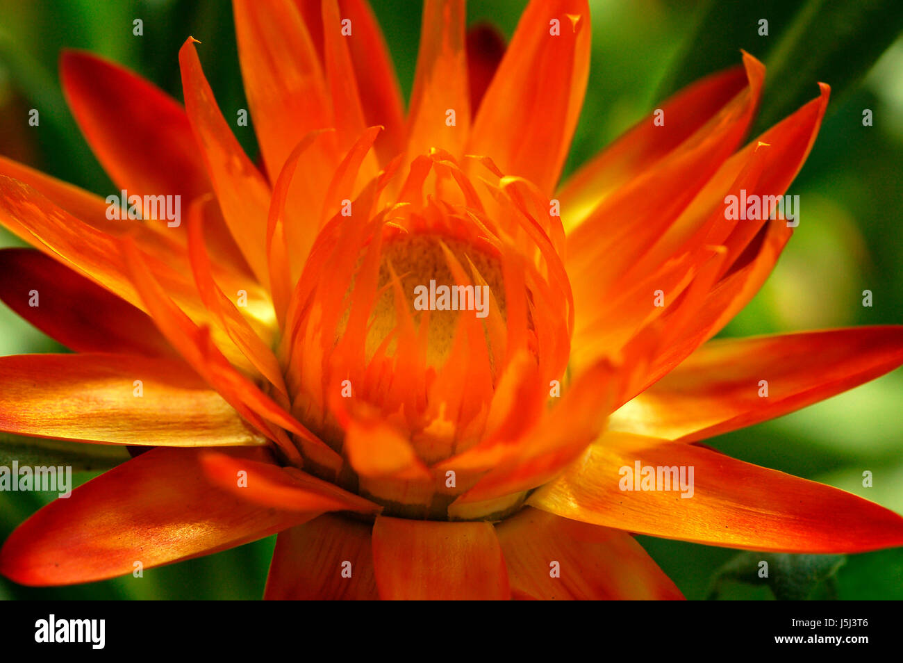 wait waiting shine shines bright lucent light serene luminous colour ...