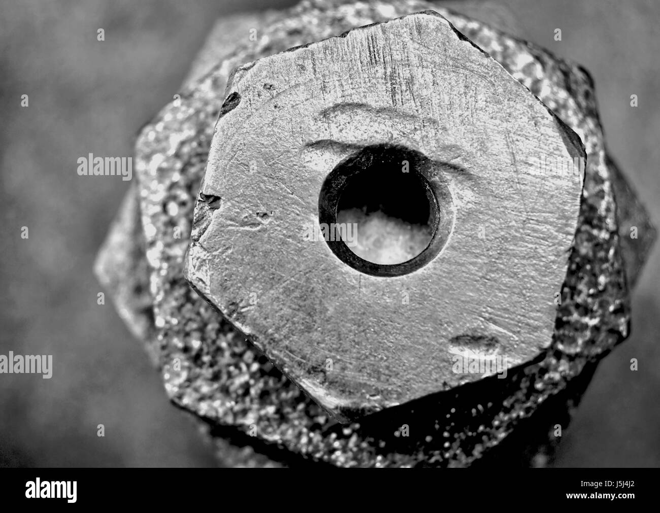 Old nut Black and White Stock Photos & Images - Alamy
