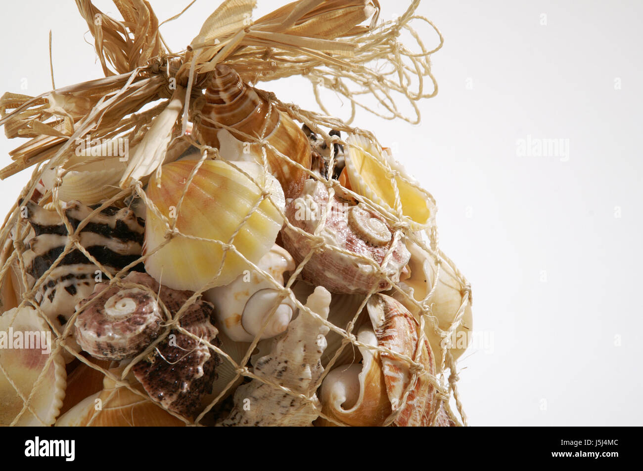 Shellfish wreck hi-res stock photography and images - Alamy