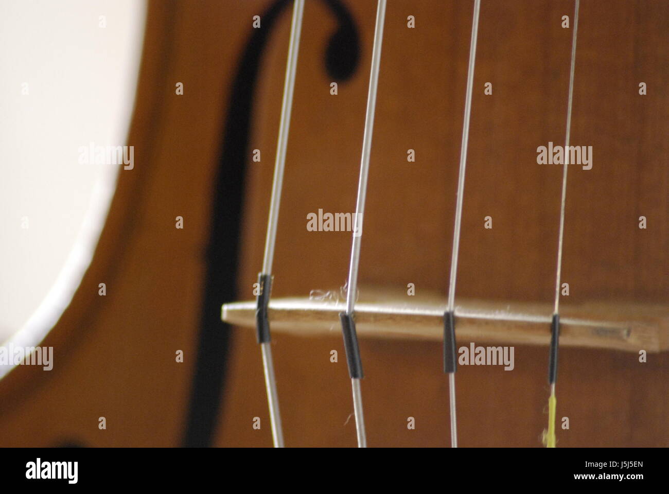 detail of a violin Stock Photo - Alamy