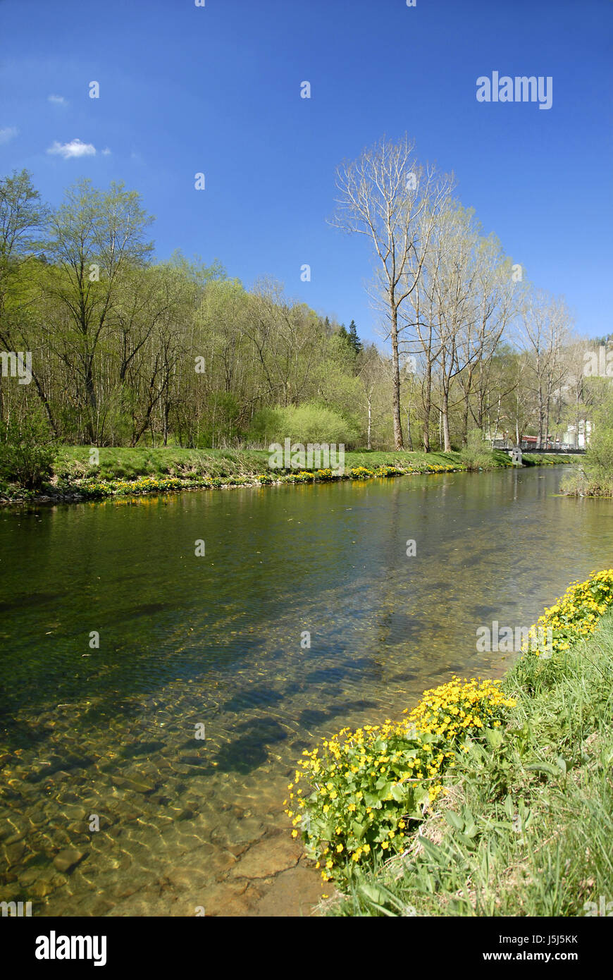 Bachbumbel hi-res stock photography and images - Alamy