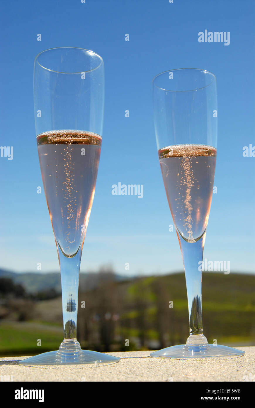 flower rose plant balustrade look-out champagne sparkling wine glass ...