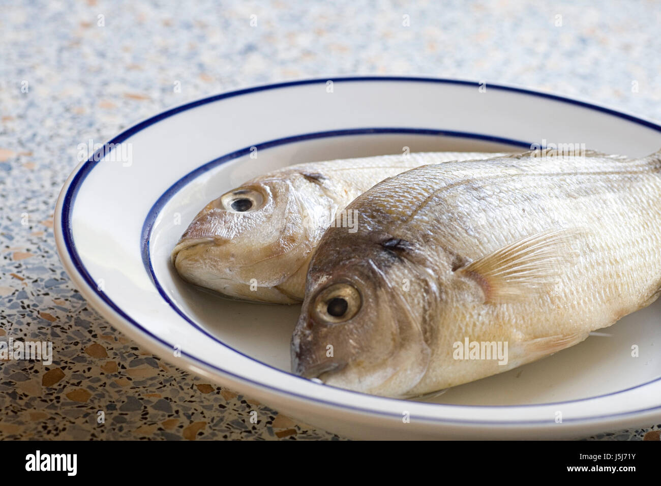 blue food aliment fish eyes blank european caucasian hovel boil cooks ...