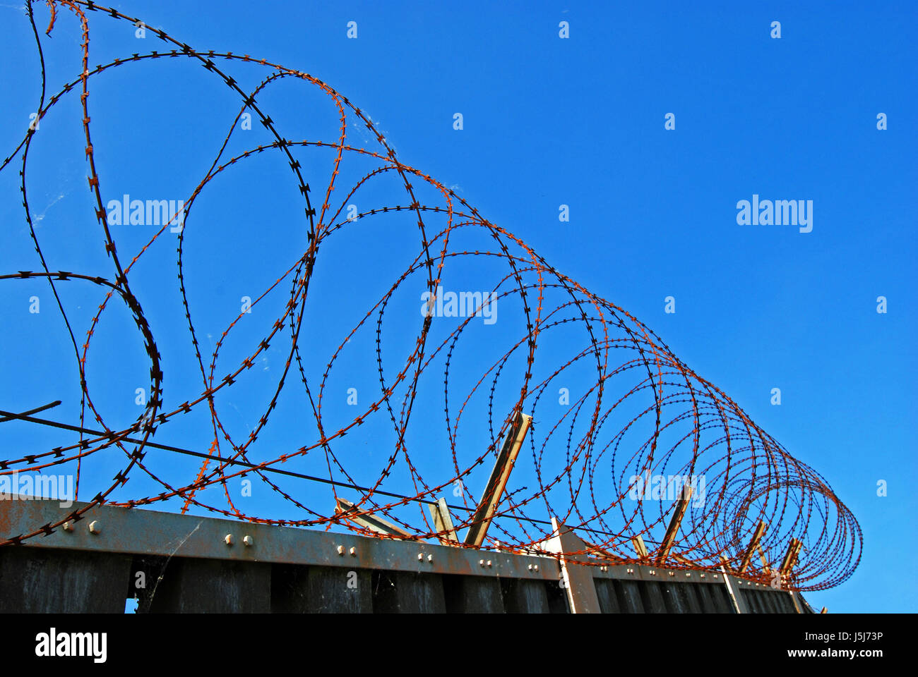 Wire tooth hi-res stock photography and images - Alamy