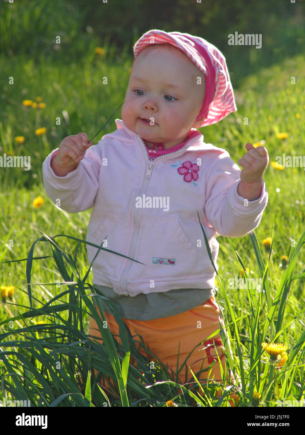 green human human being flower flowers plant blossoms counter-light ...