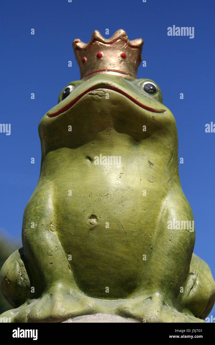 The king frog hi-res stock photography and images - Alamy