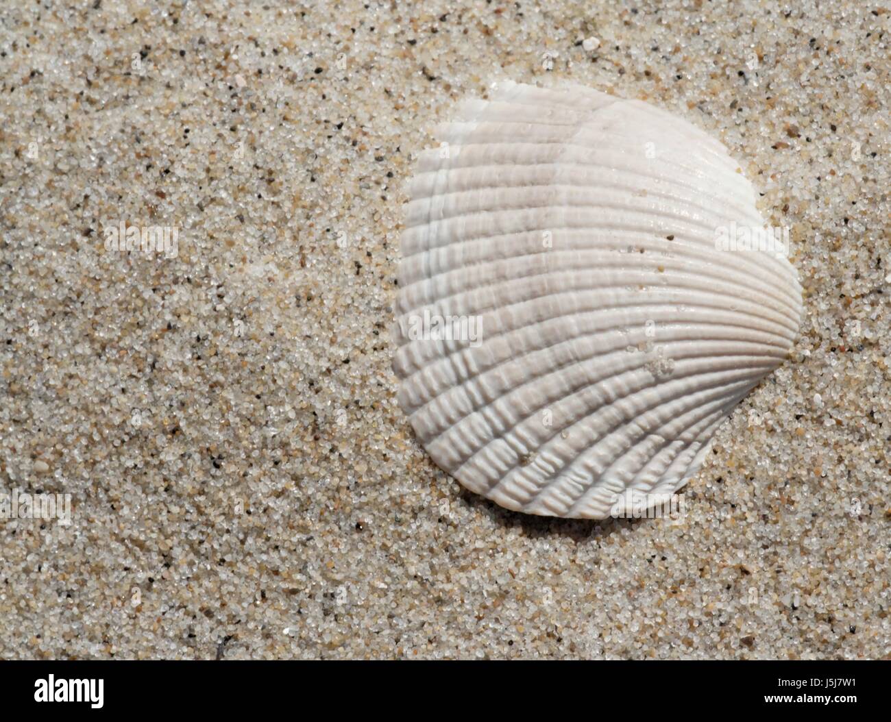 Sand weiss hi-res stock photography and images - Alamy