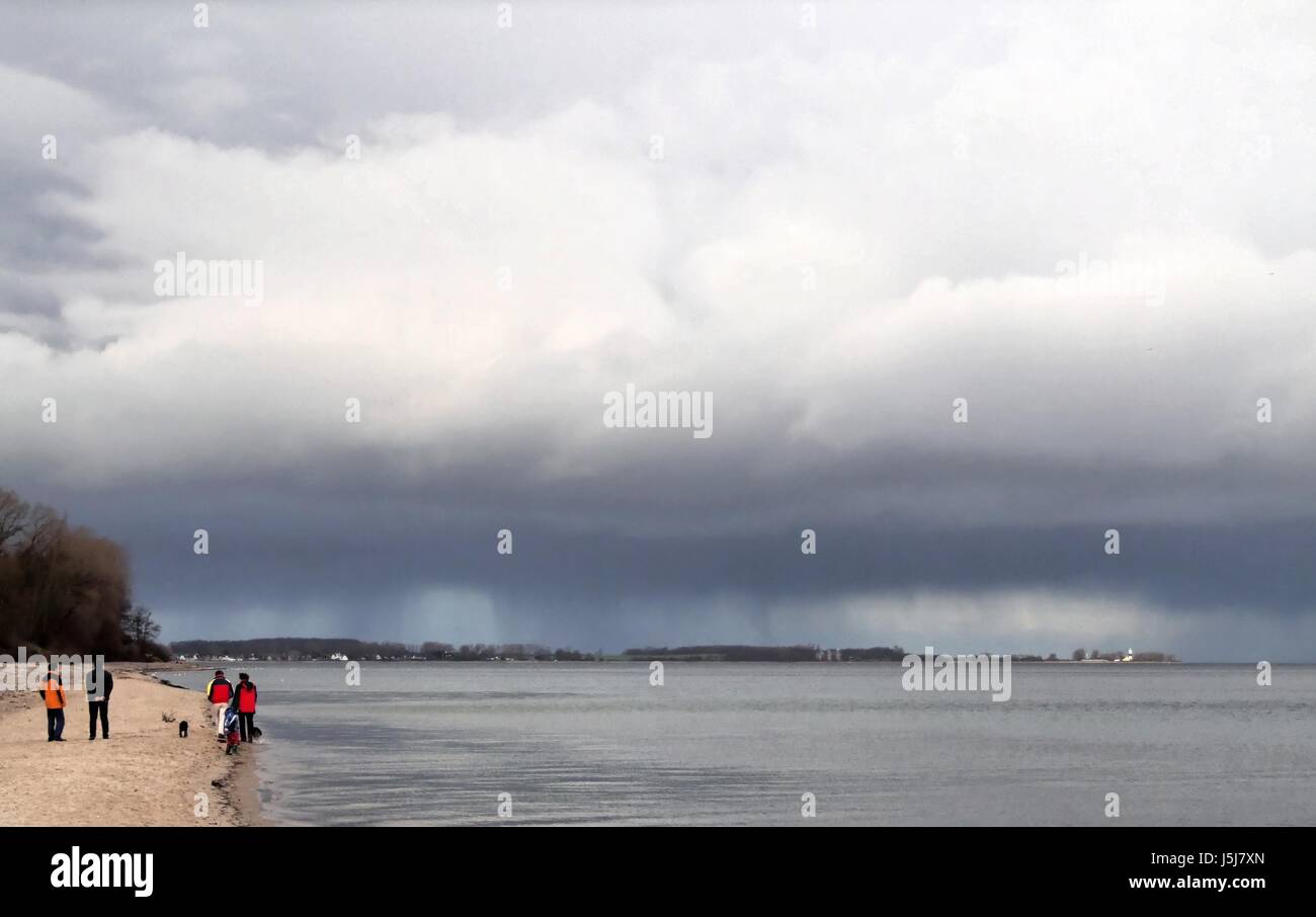 humans human beings people folk persons human human being beach seaside ...