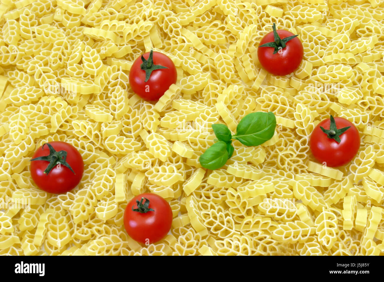 food aliment dainty dough noodles basil italian spaghetti uncooked ...