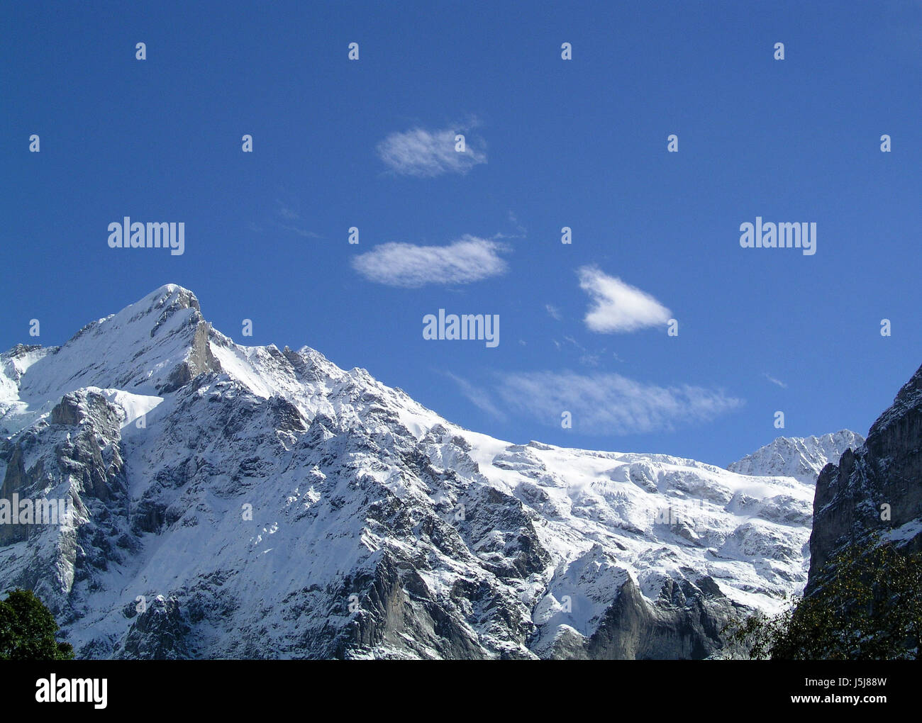 alps summit switzerland climax peak snow tree mountains alps summit ...