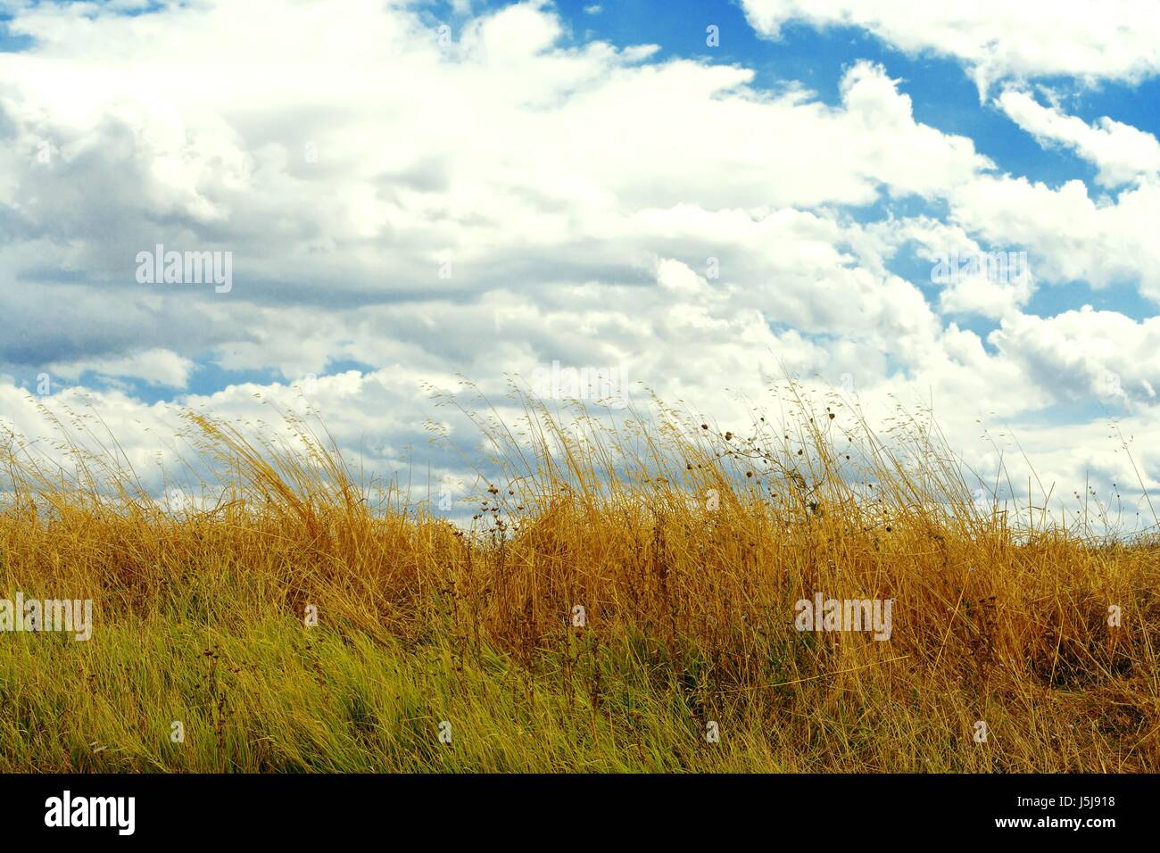 blue shine shines bright lucent light serene luminous environment ...