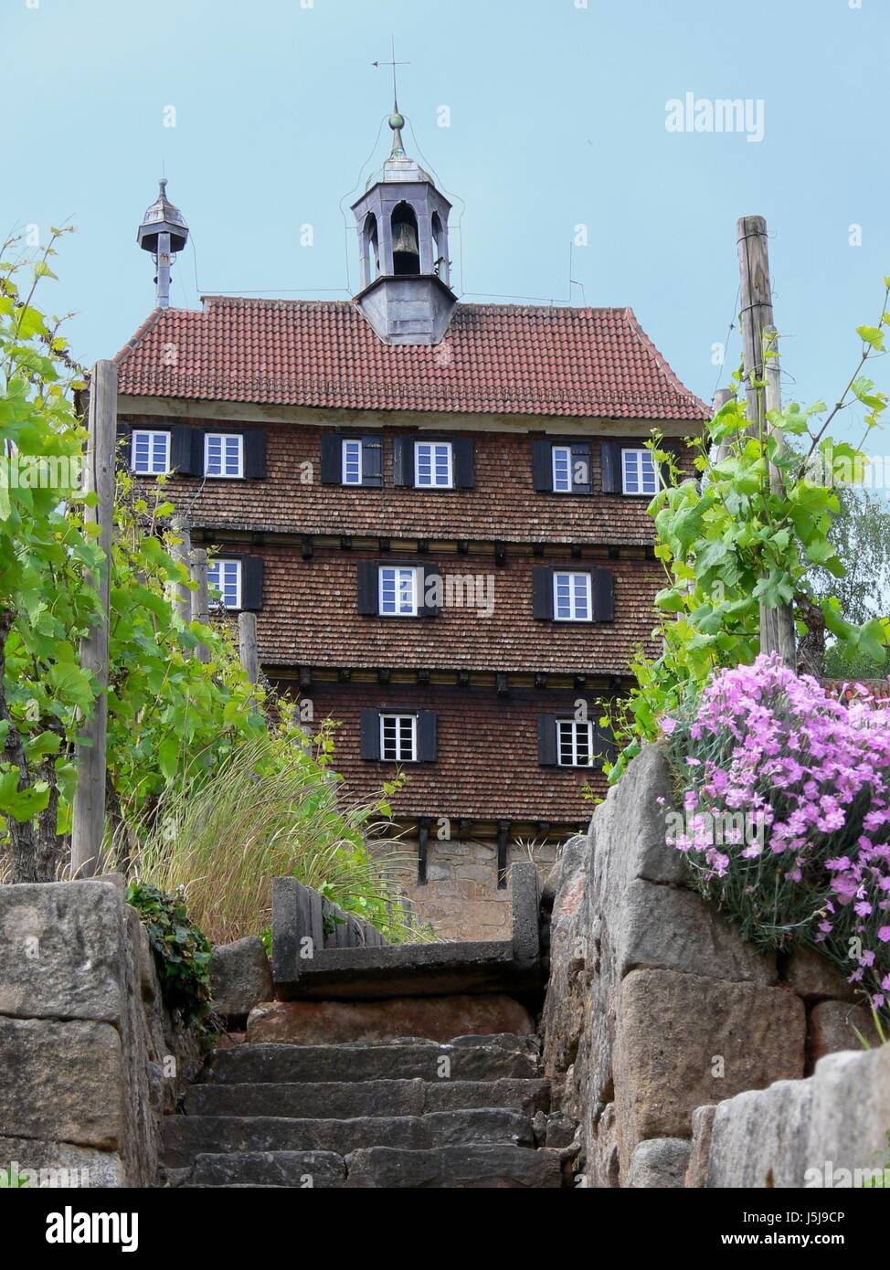 stairs flower flowers plant vineyard viticulture city wall watchtower ...