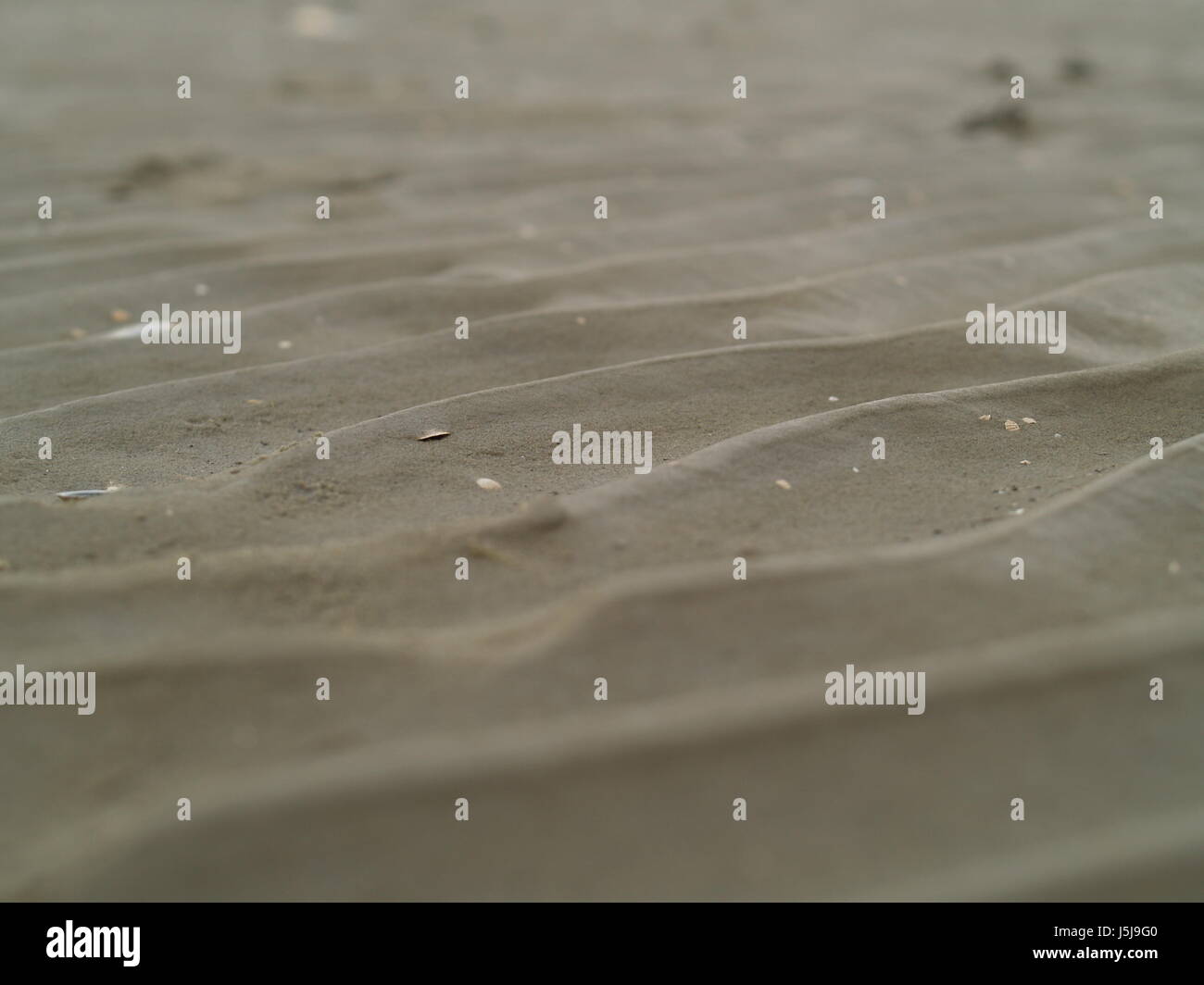 ground soil earth humus beach seaside the beach seashore water north ...