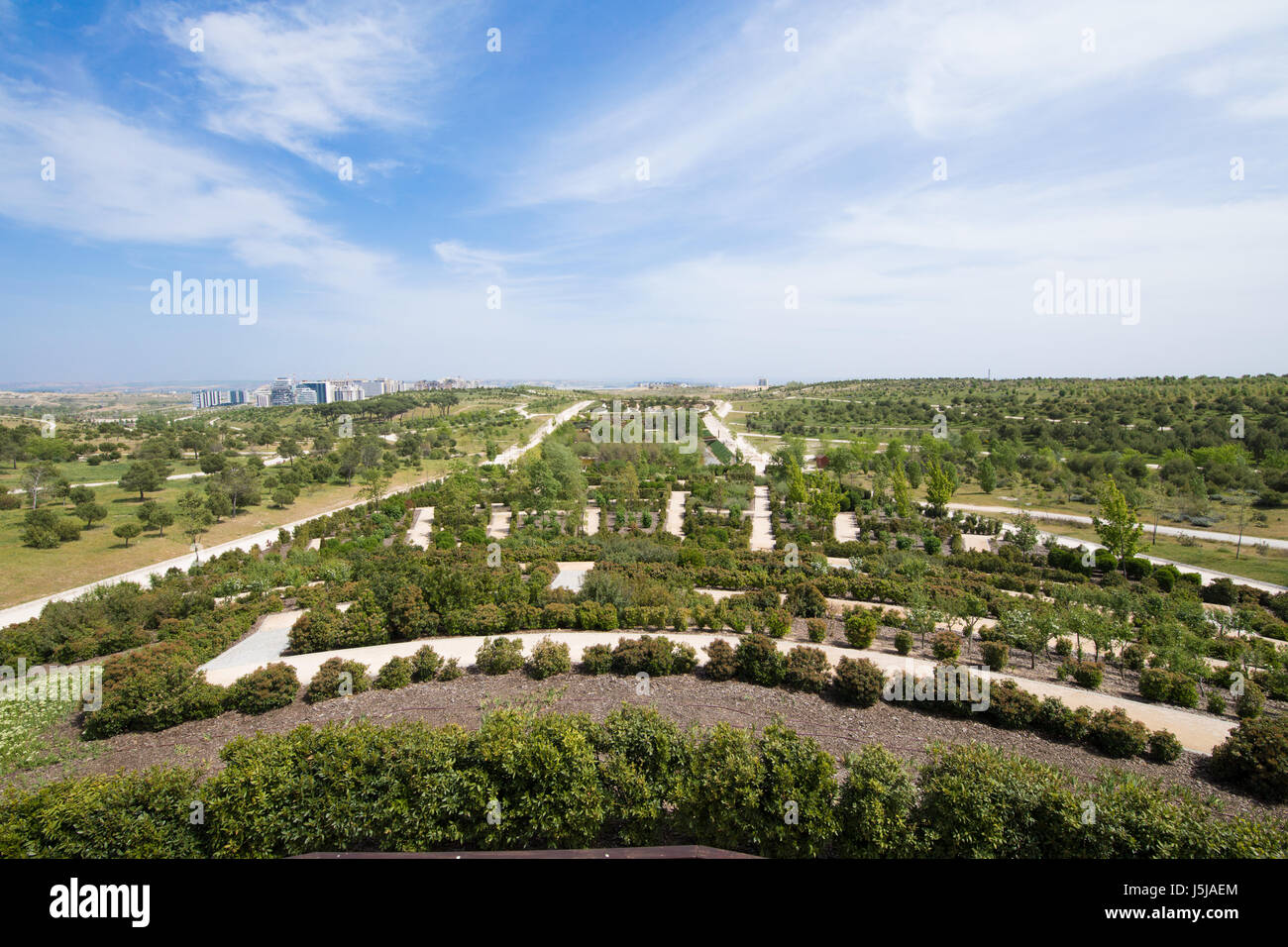 landscape of public park named Felipe VI or Forest Park Valdebebas, in ...