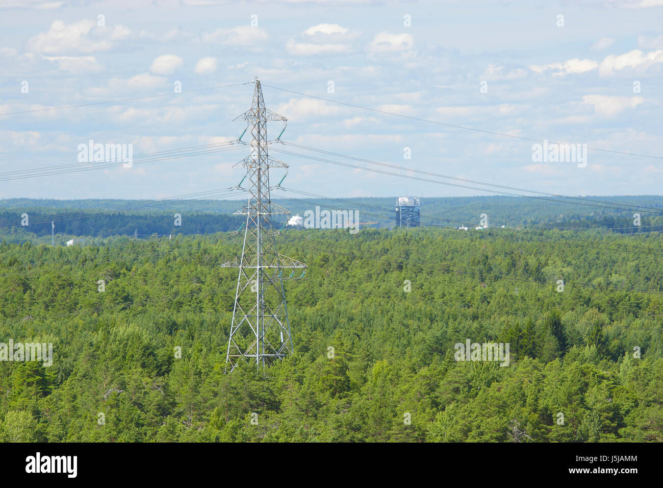 Powerline in a forest landscape Stock Photo - Alamy