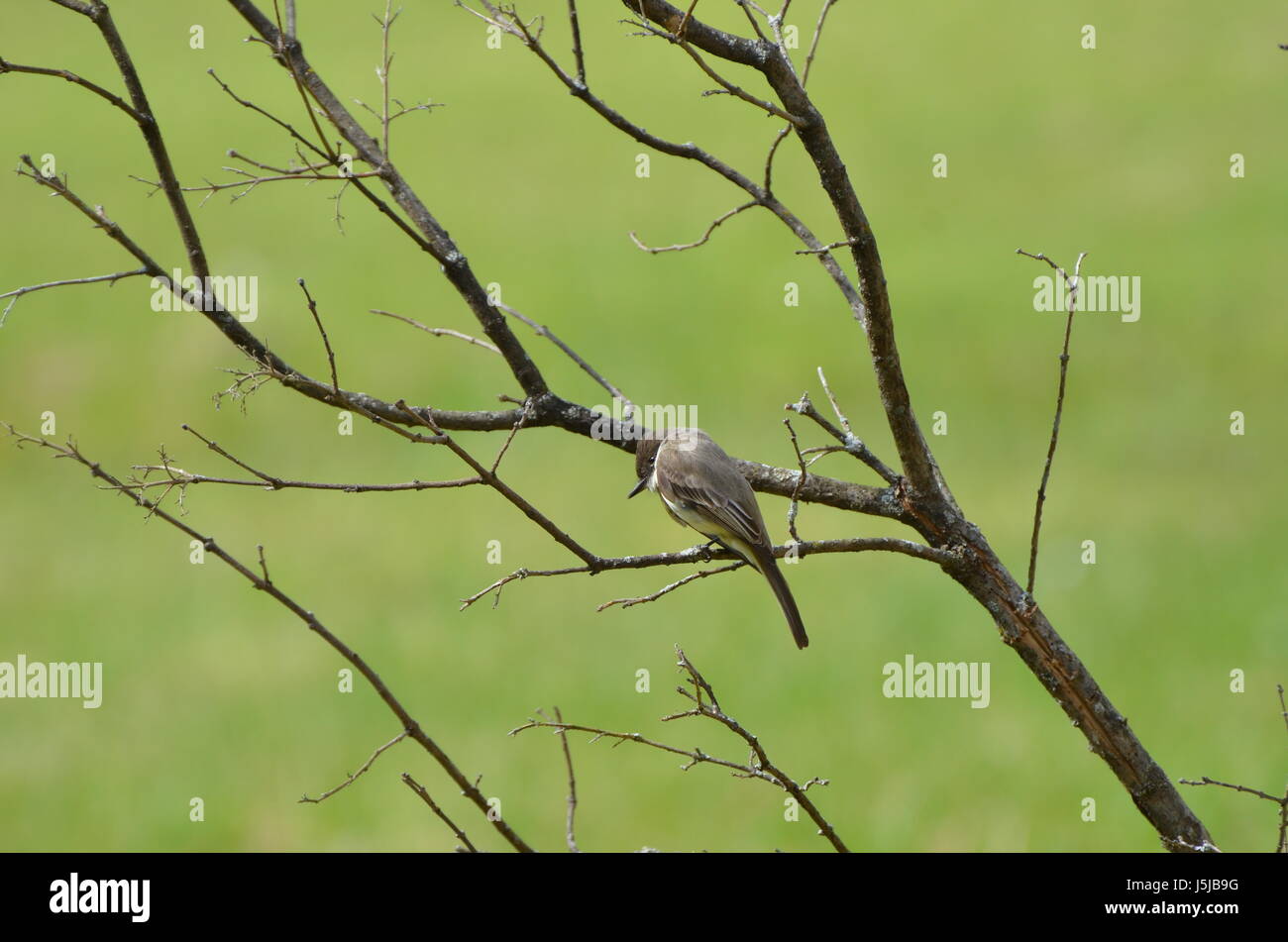 Hunched over hi-res stock photography and images - Alamy