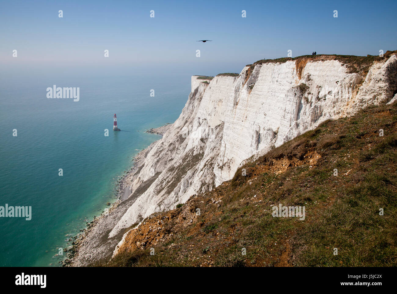 Beachy Head Lighthouse Stock Photo - Alamy