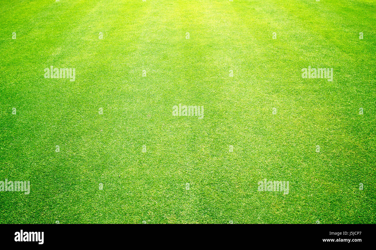 Clean backdrop golf image hi-res stock photography and images - Alamy