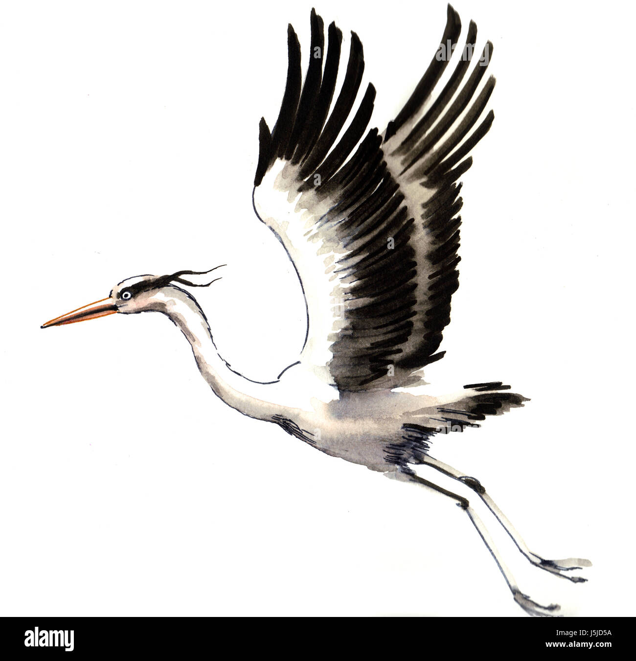 Flying crane hi-res stock photography and images - Alamy