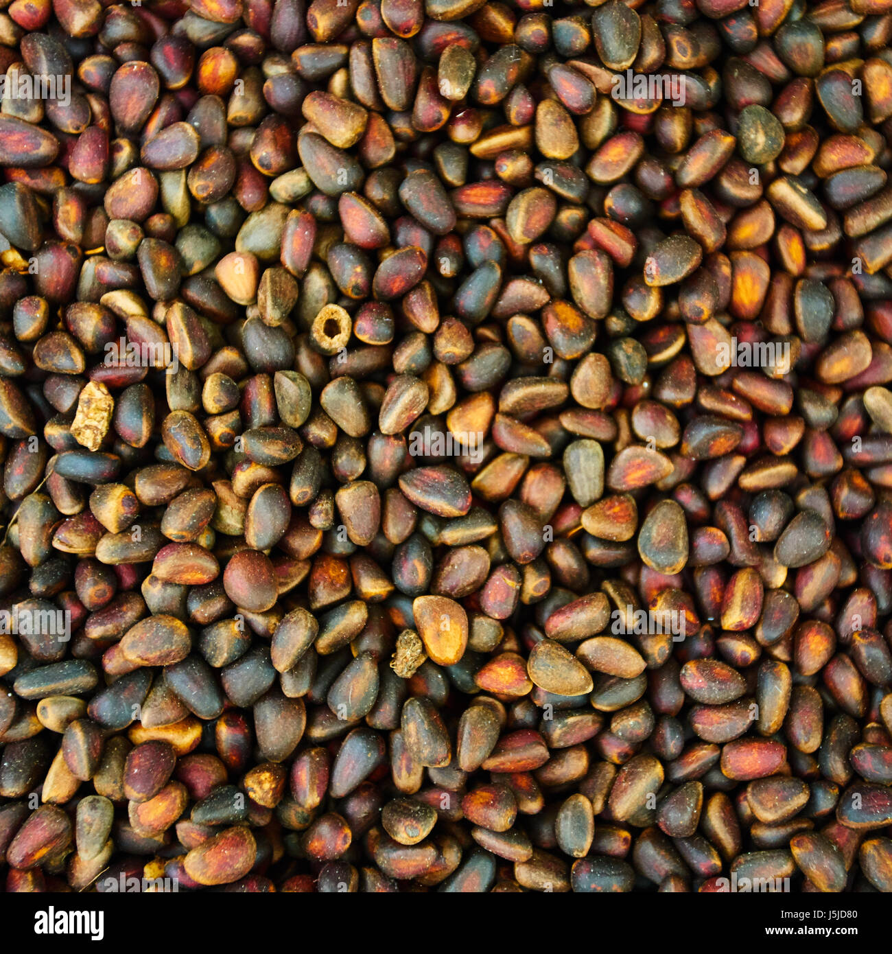 cedar nuts. Pine nuts Stock Photo - Alamy