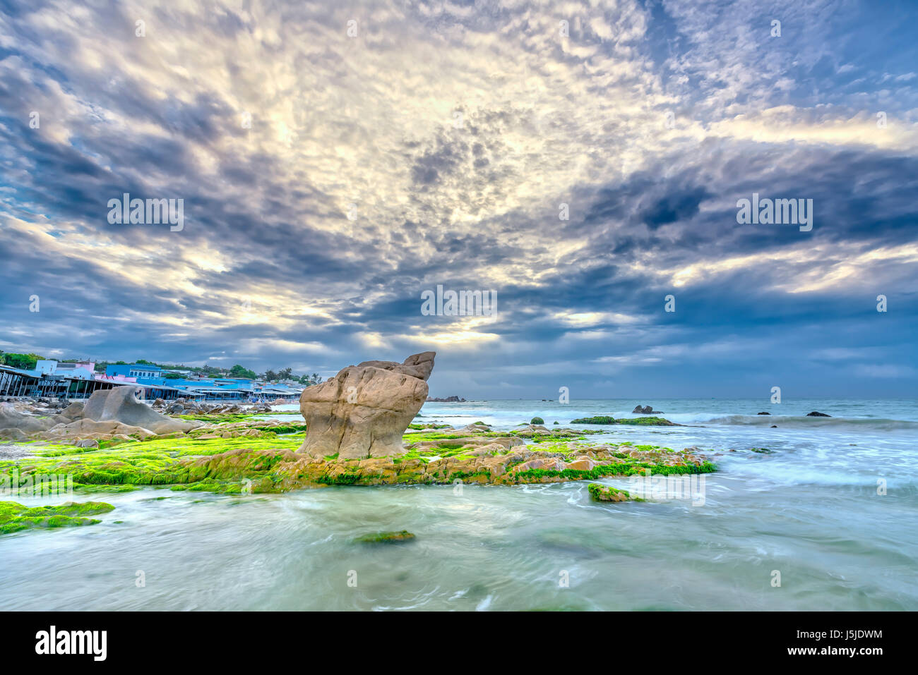 Stones covered with moss and seaweed welcomes dawn beautiful new day ...