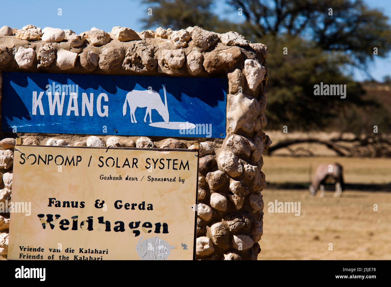 Gemsbok drinking at Kwang waterhole, Kgalagadi Transfontier Park, South ...