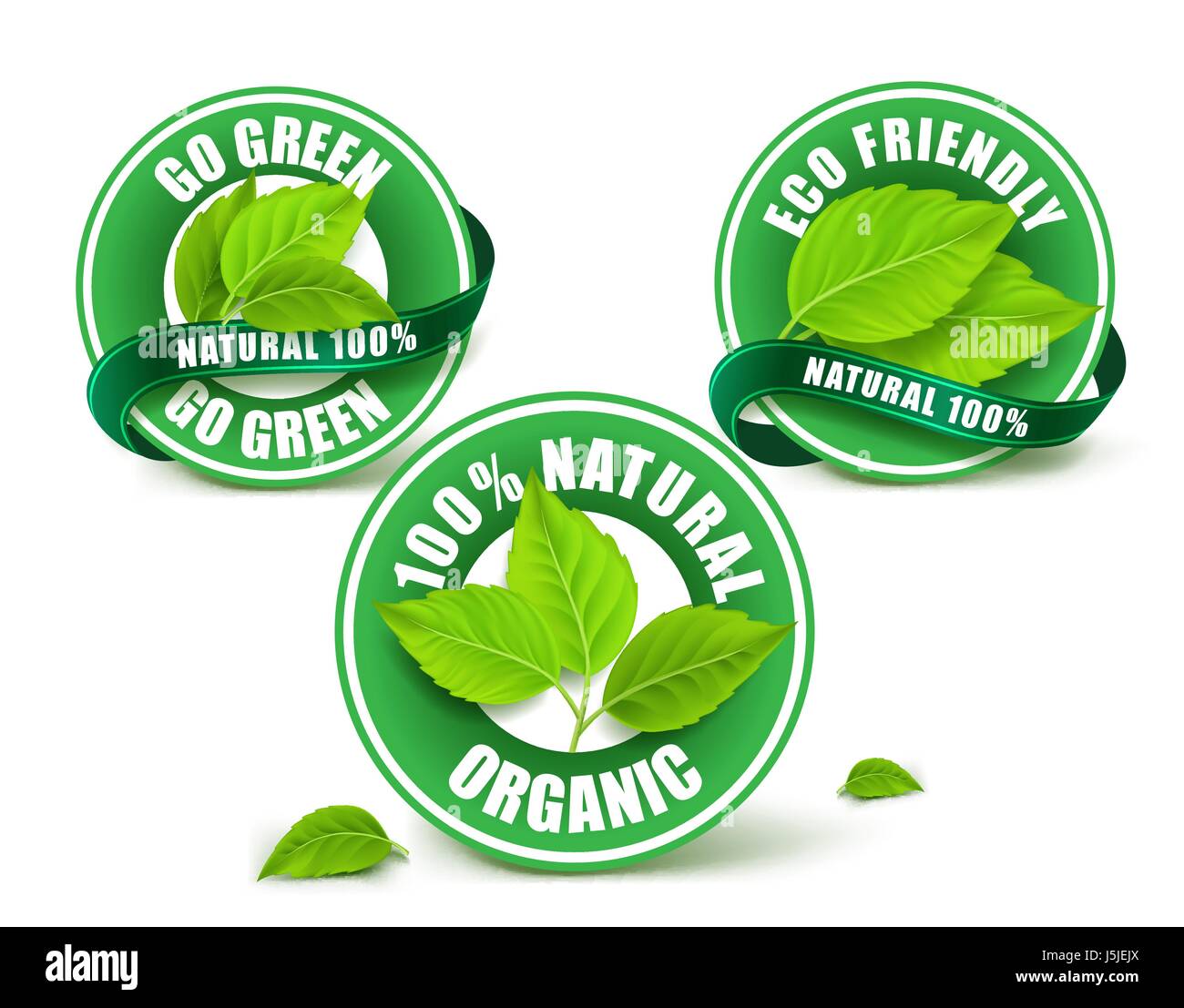 Green Organic Labels, Badge or Seal Set Isolated. Vector Illustration ...