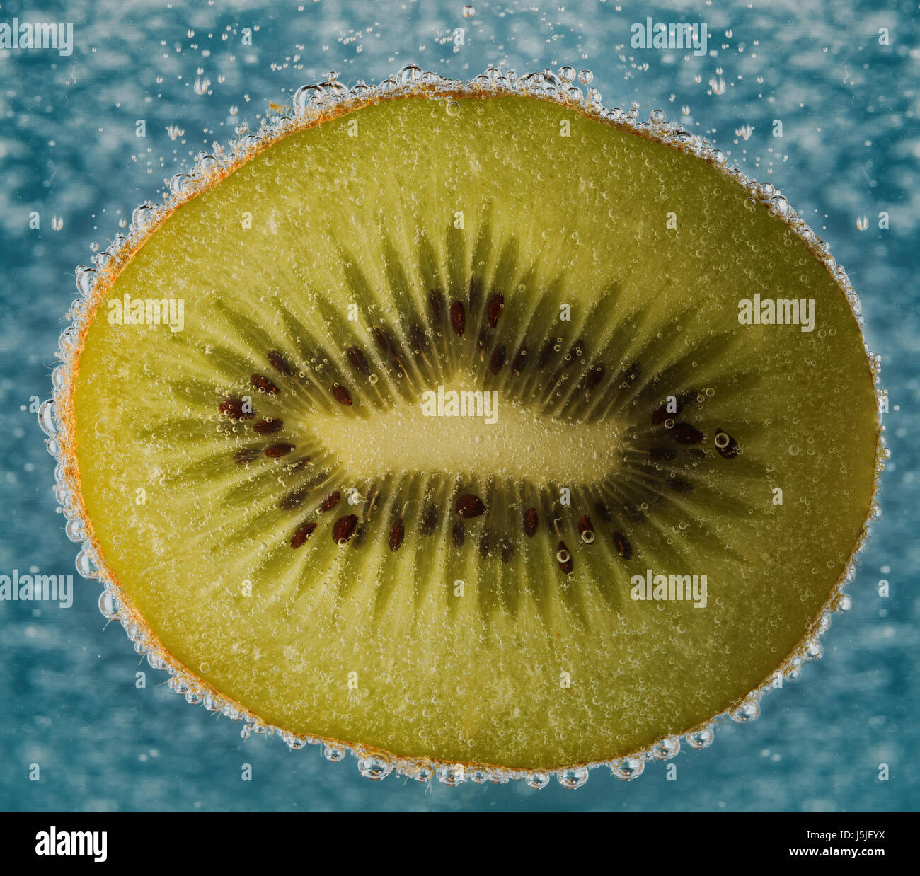 kiwi under water Stock Photo - Alamy