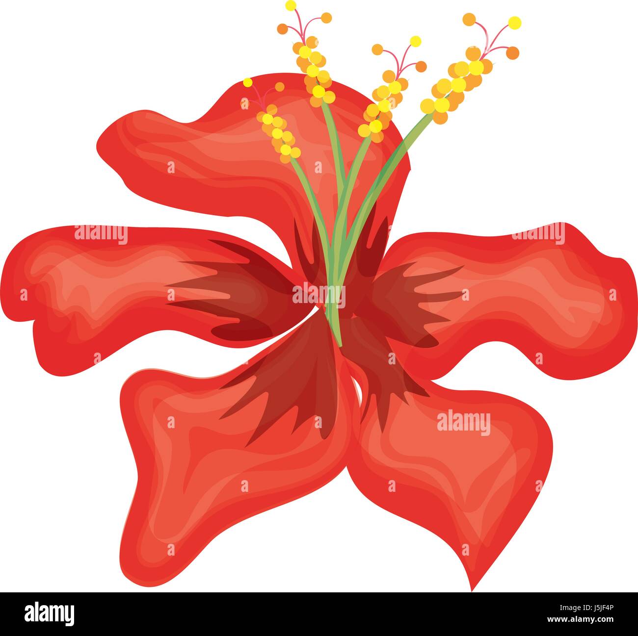 tropical flower decorative icon Stock Vector Image & Art - Alamy