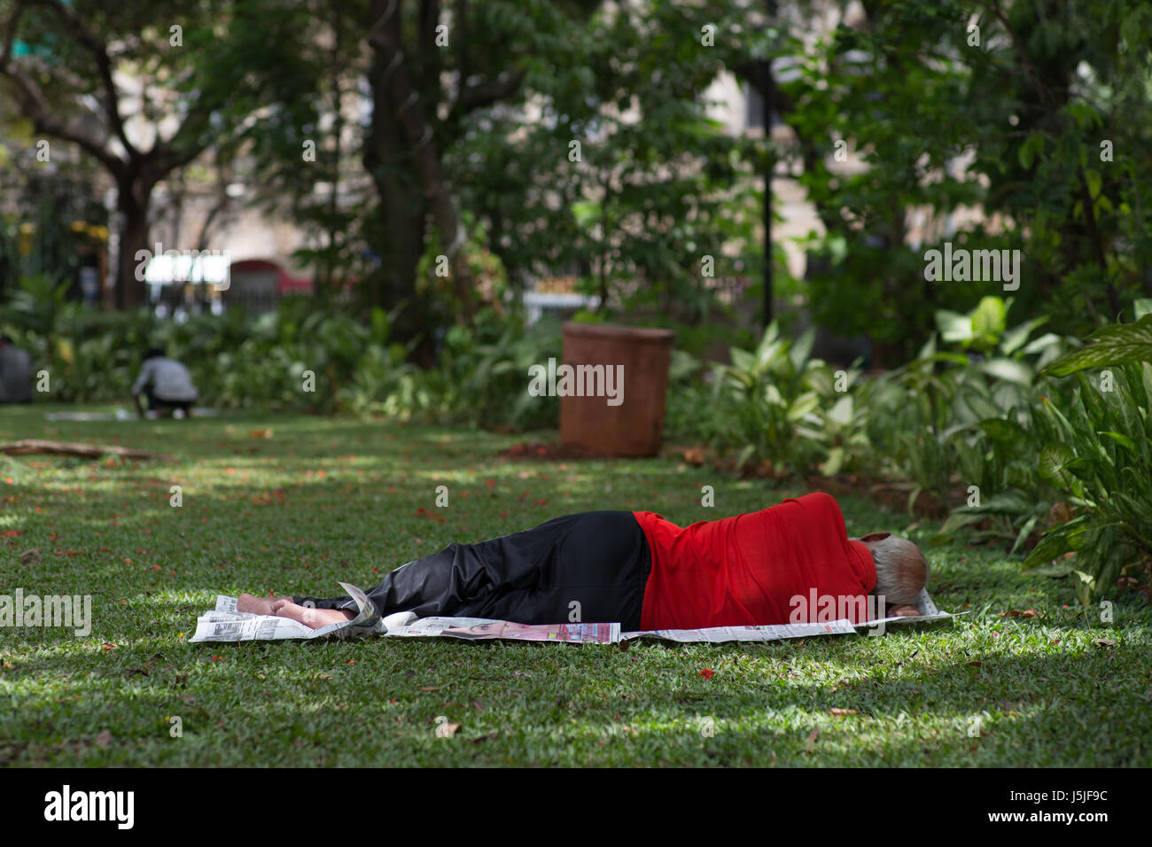 A man taking a nap in a park in Mumbai, India Stock Photo - Alamy